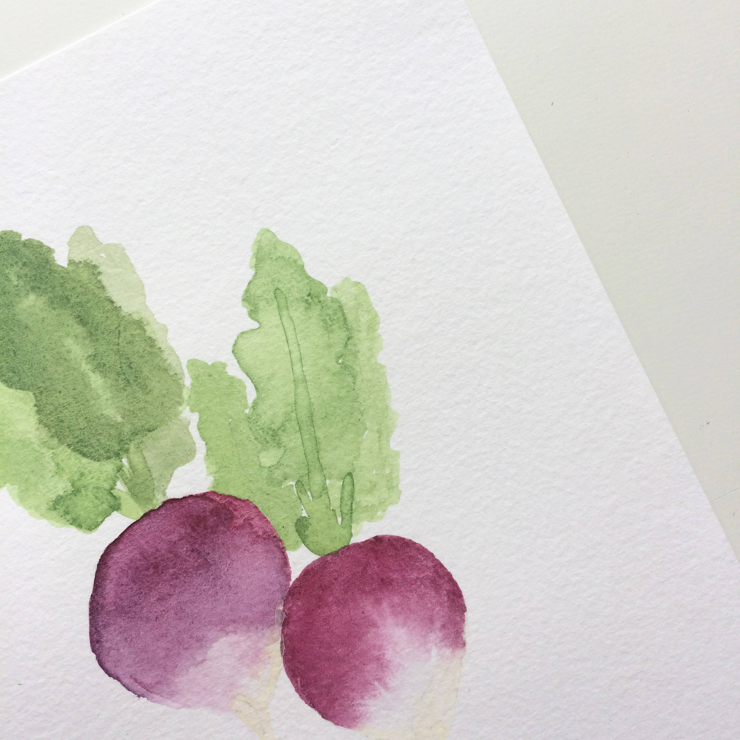 Turnip Vegetable Original Watercolor Paintings [6 x 8]