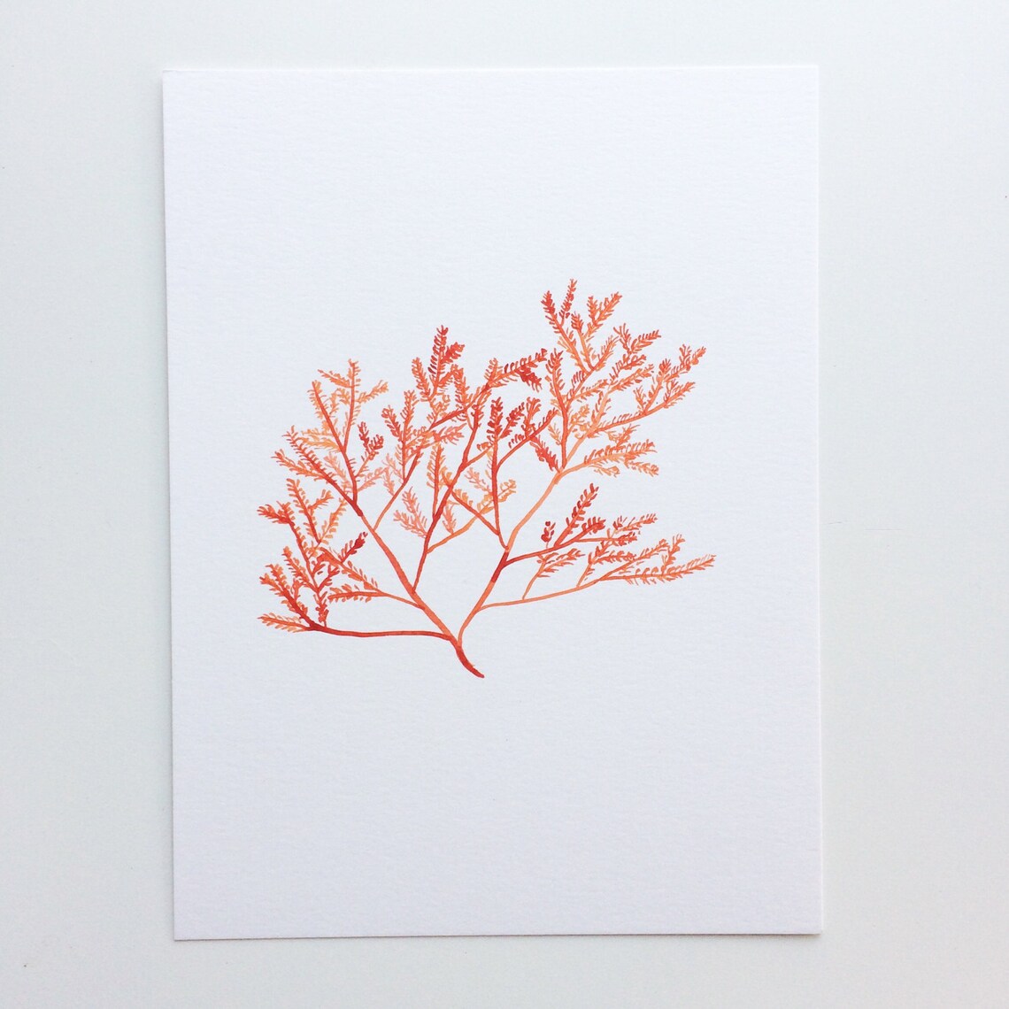 Coral Red Ocean Fan Seaweed Original Watercolor Painting - Etsy