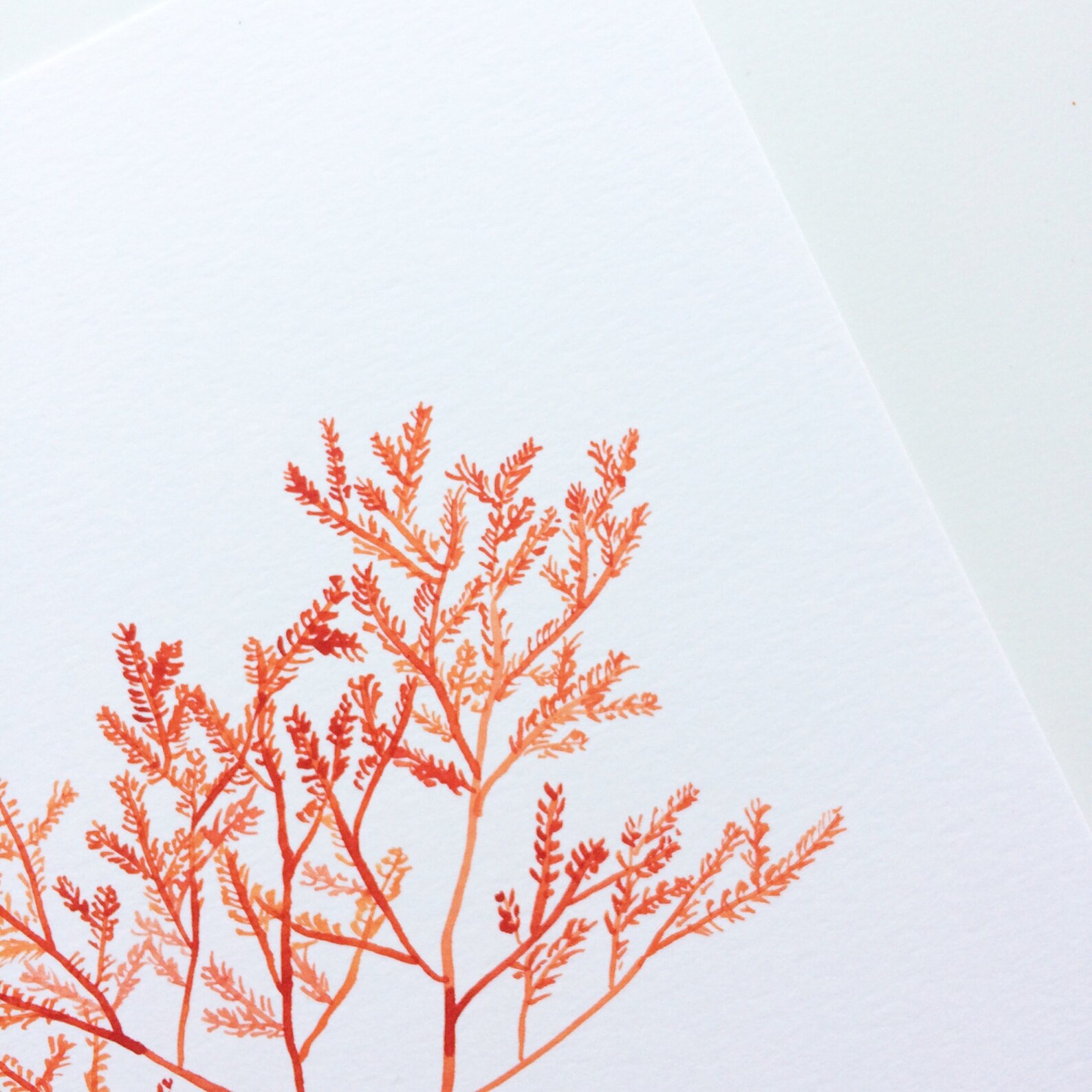 Coral Red Ocean Fan Seaweed Original Watercolor Painting - Etsy