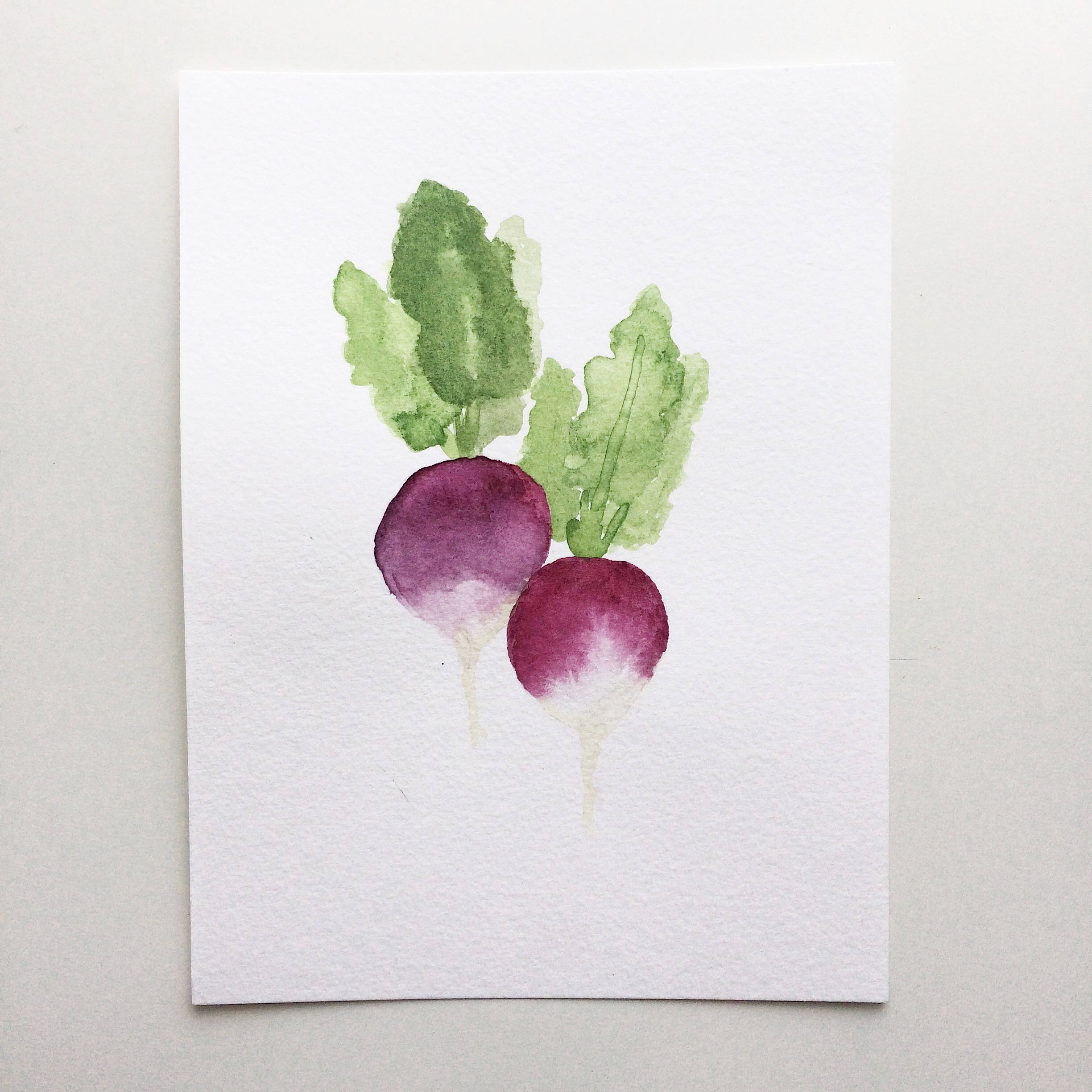 Turnip Vegetable Original Watercolor Paintings [6 x 8]