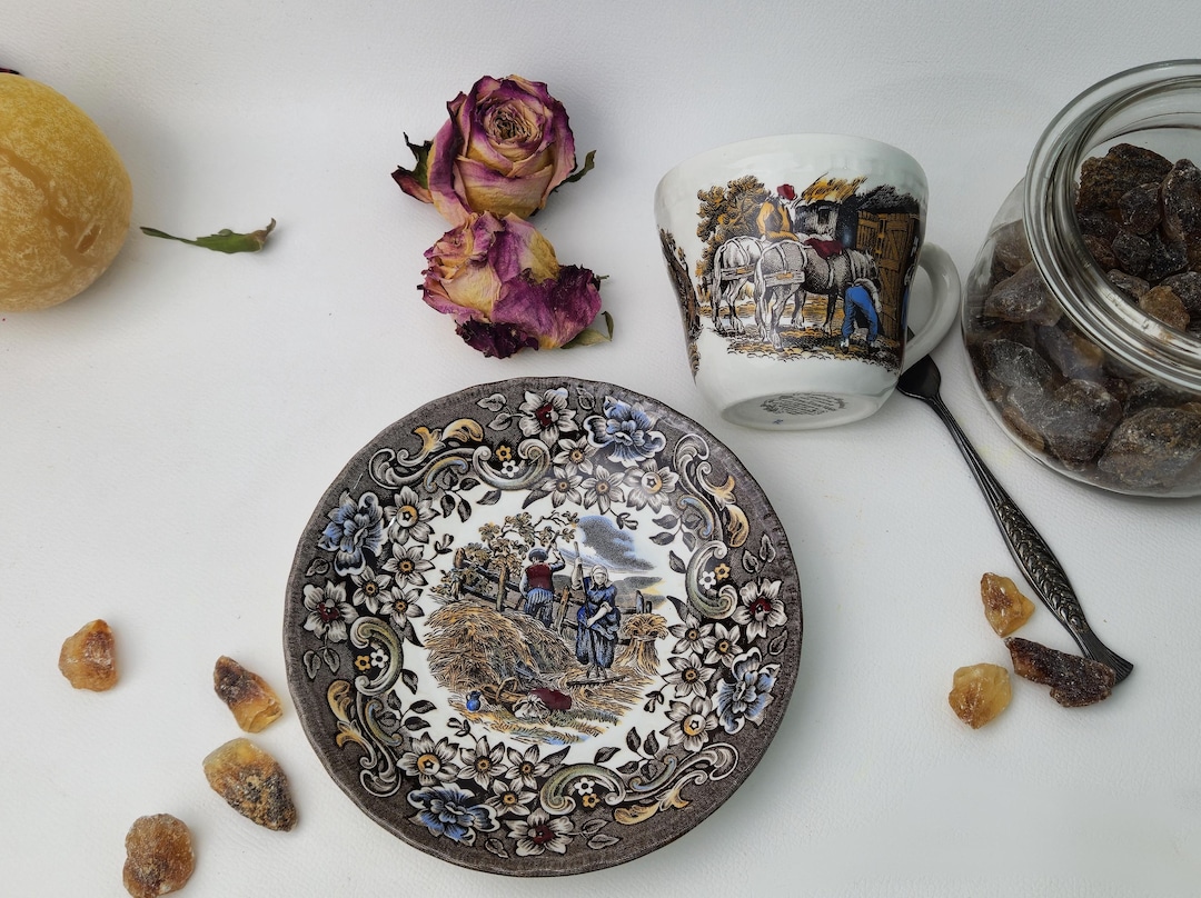Royal Tudor Ware “17th Century England” Teacup and Saucer Made of ...
