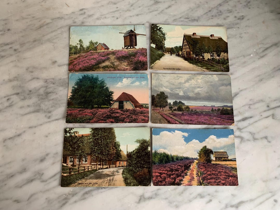 Old Postcards Lüneburg Heath / AK Lühe / Postcard Blank / Lower Saxony ...