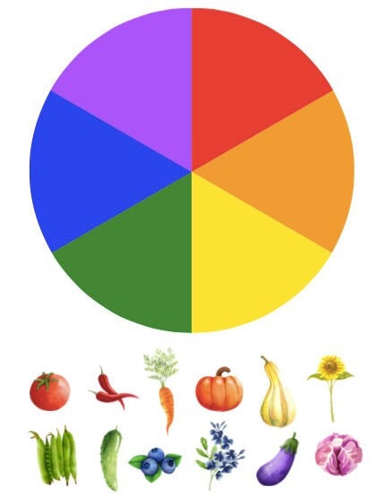 Printable Garden Color Sorting Activity for Toddlers, Preschoolers - Etsy