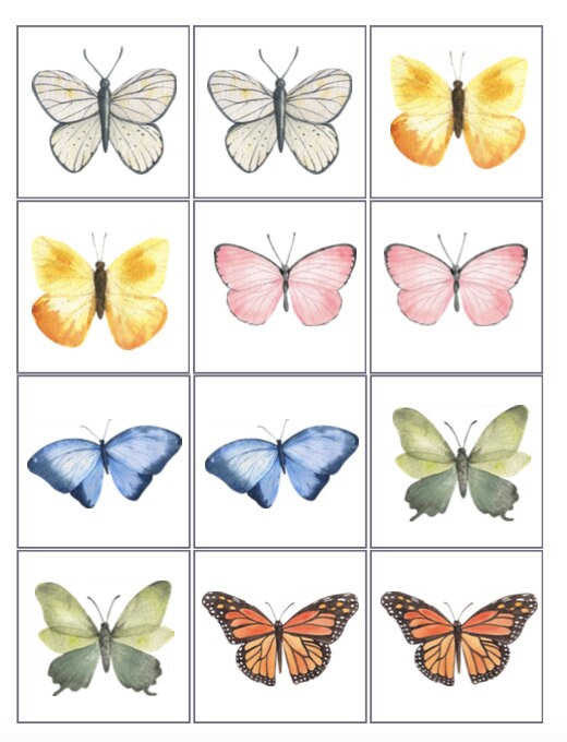 Garden Matching Cards - Vegetables, Fruits, and Butterflies - Printable ...