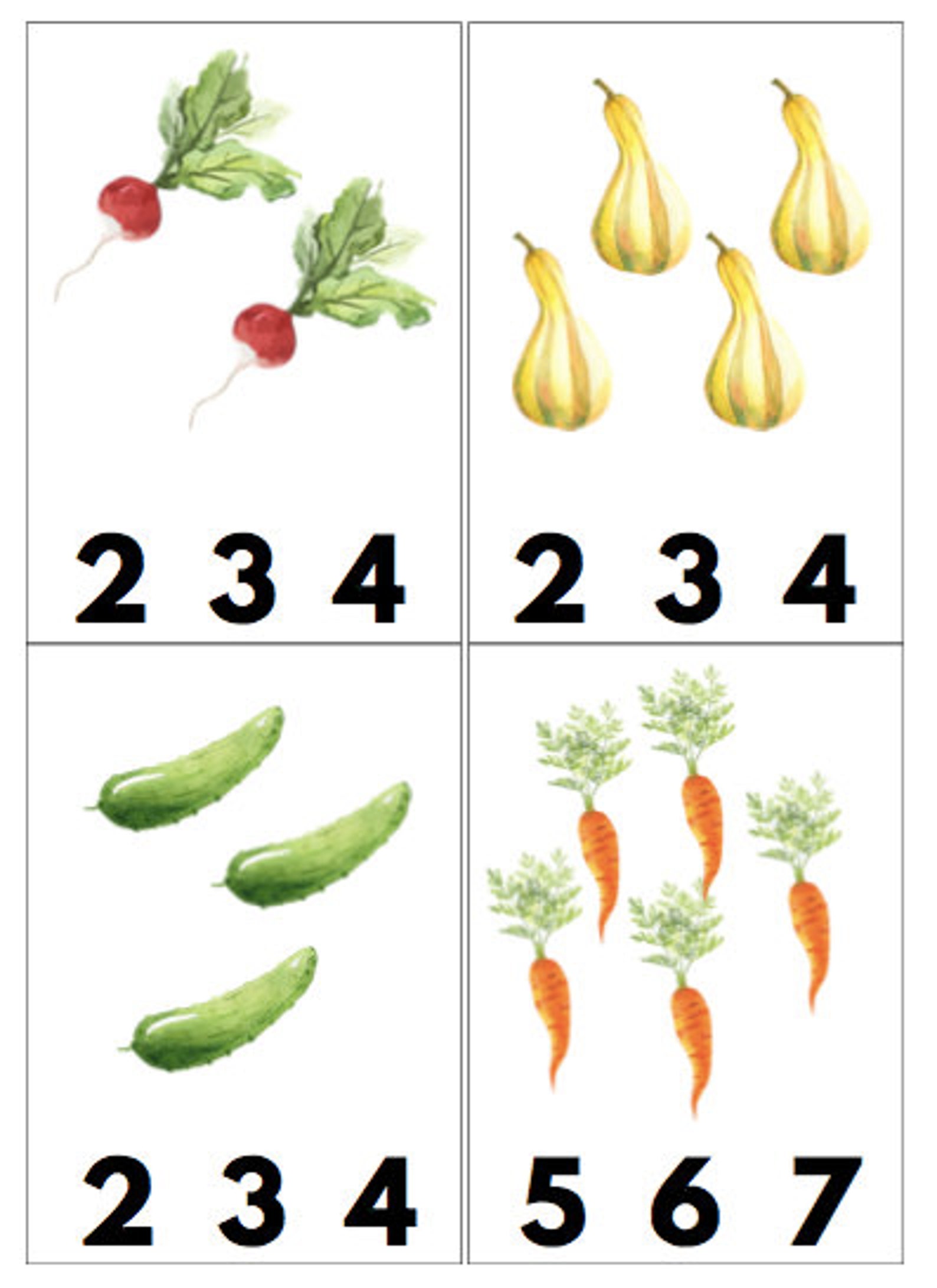 Garden Counting Activities for Children - Two Printable Activities ...