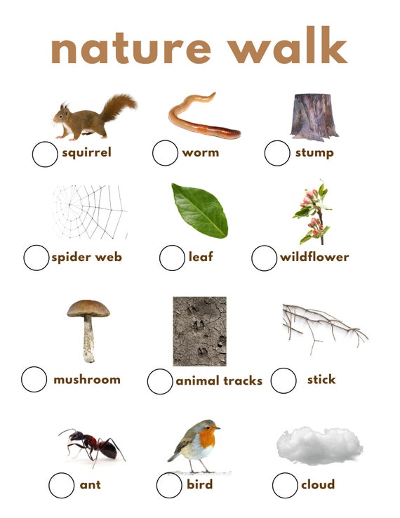 Nature Walk Treasure Hunt / Scavenger Hunt / Checklist for - Etsy
