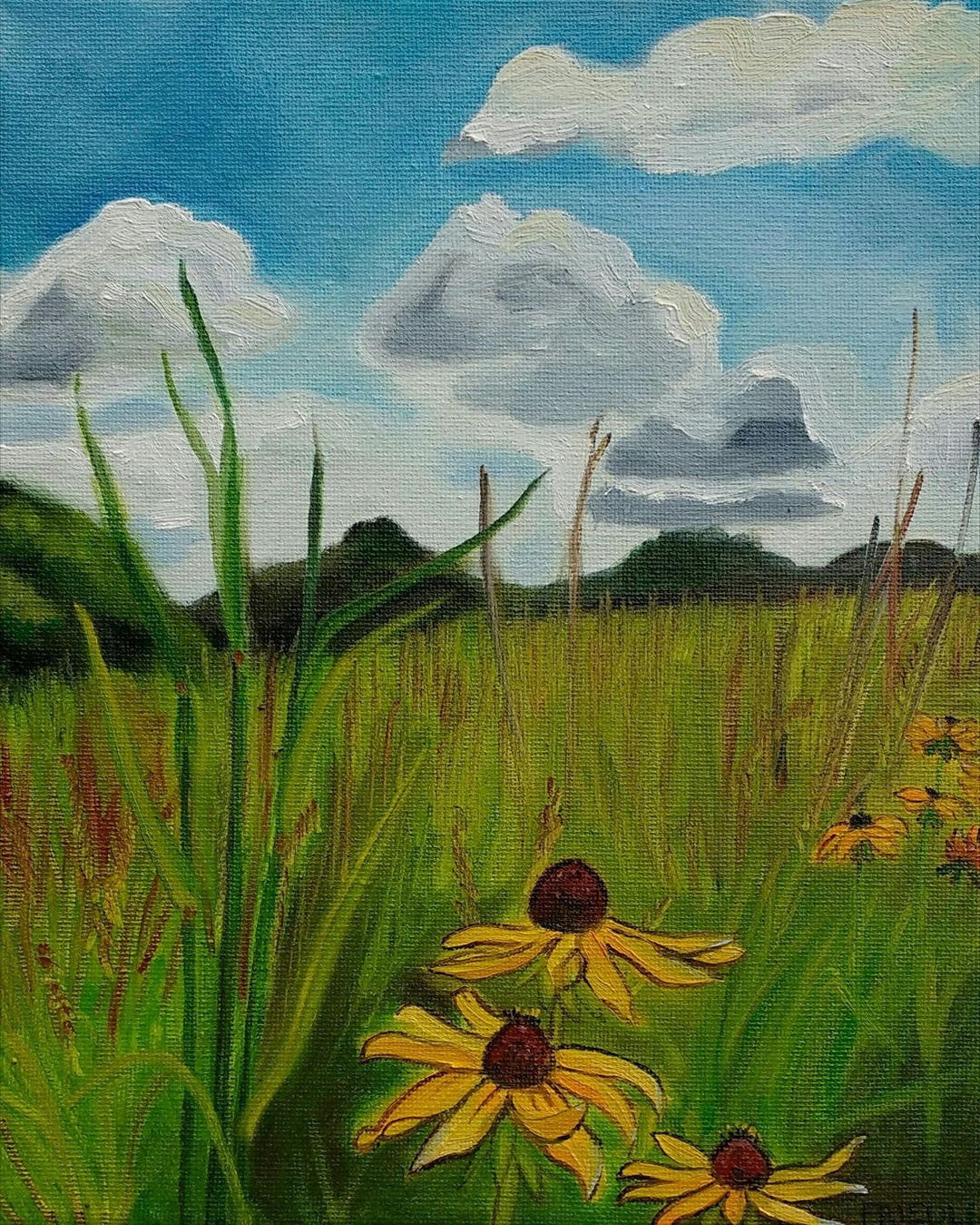 Prairie and Sky - Etsy