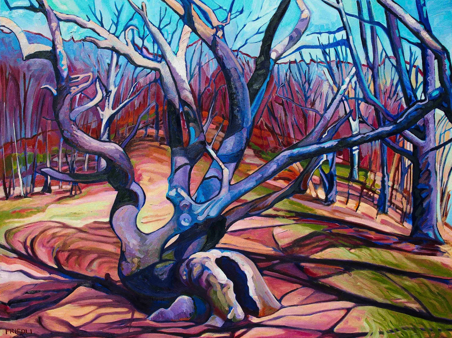 Bly Gap Oak Tree - Etsy