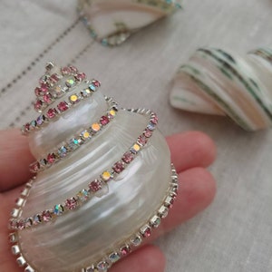 Turbo Pearled Rhinestone Seashell Ornaments, Natural Polished ...
