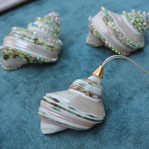 Turbo Pearled Rhinestone Seashell Ornaments, Natural Polished ...