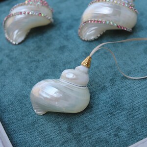 Turbo Pearled Rhinestone Seashell Ornaments, Natural Polished ...