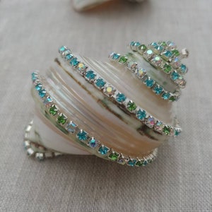 Turbo Pearled Rhinestone Seashell Ornaments, Natural Polished ...
