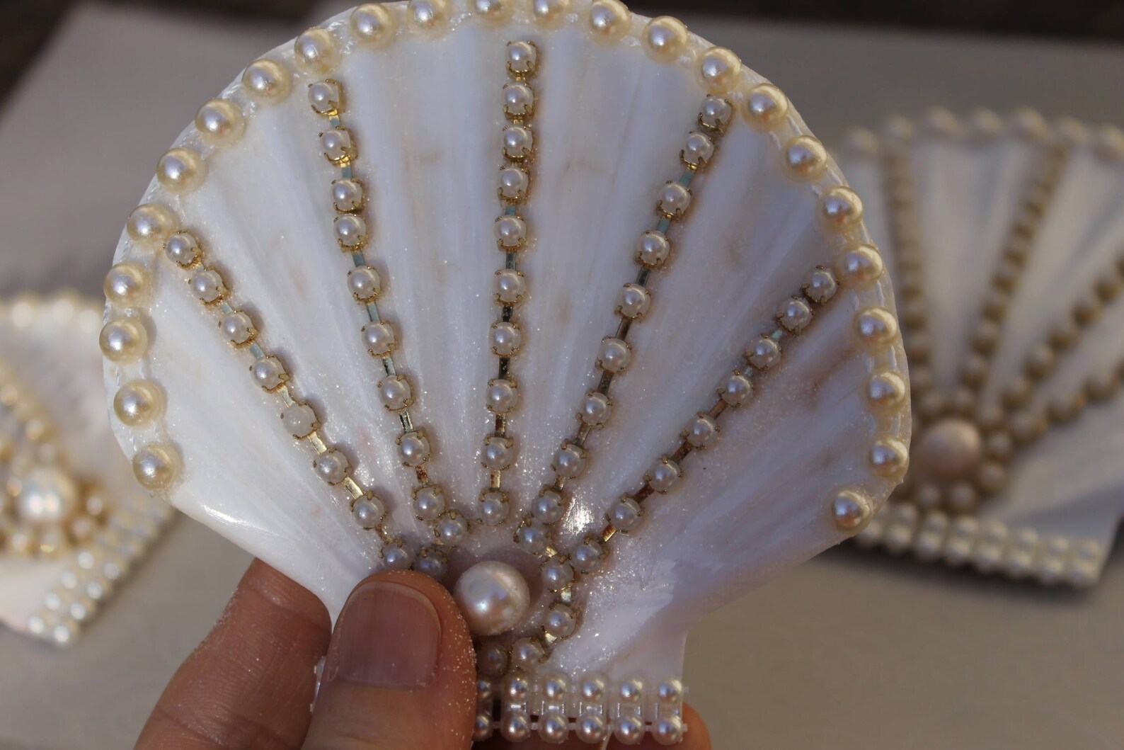 Natural Seashell Decorated With Pearls, Flat Scallop Fan Shell, Beach ...