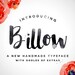 Billow Font Branding Font Cricut Font Canva Font Handwritten Font ...