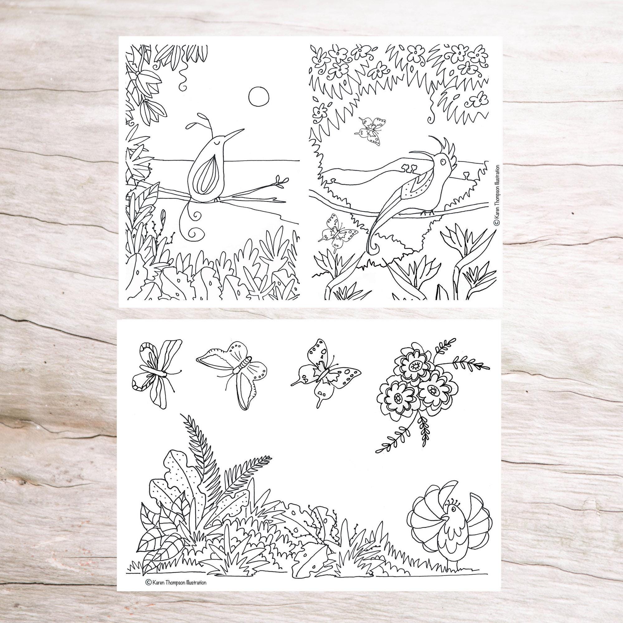 Printable Colouring Sheets, Paradise Birds X 5 - Etsy