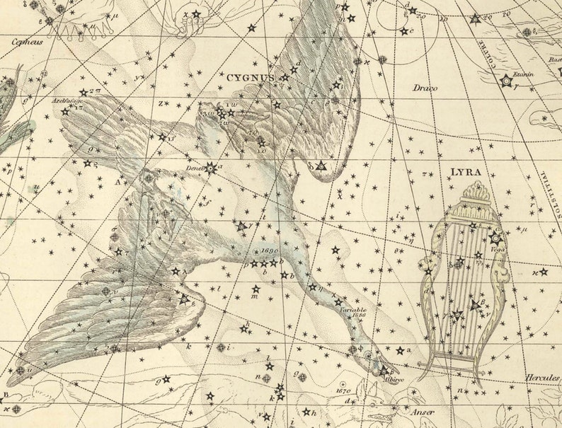 Vintage Cygnus Lacerta Lyra Constellation Celestial Map - Astronomy ...
