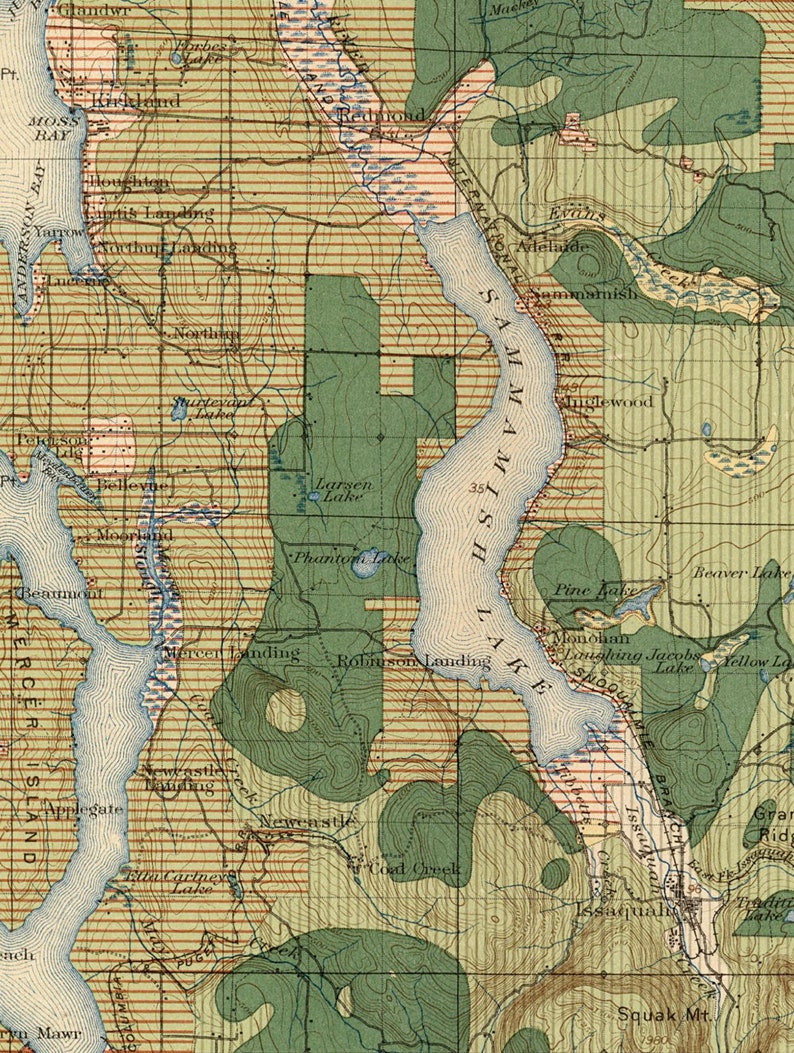 1900 Geologic Survey Map of Seattle Land Use and Timber Old - Etsy