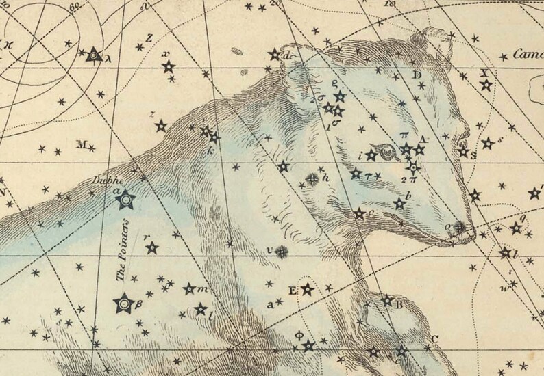 Vintage Ursa Major Constellation Celestial Map Astronomy - Etsy