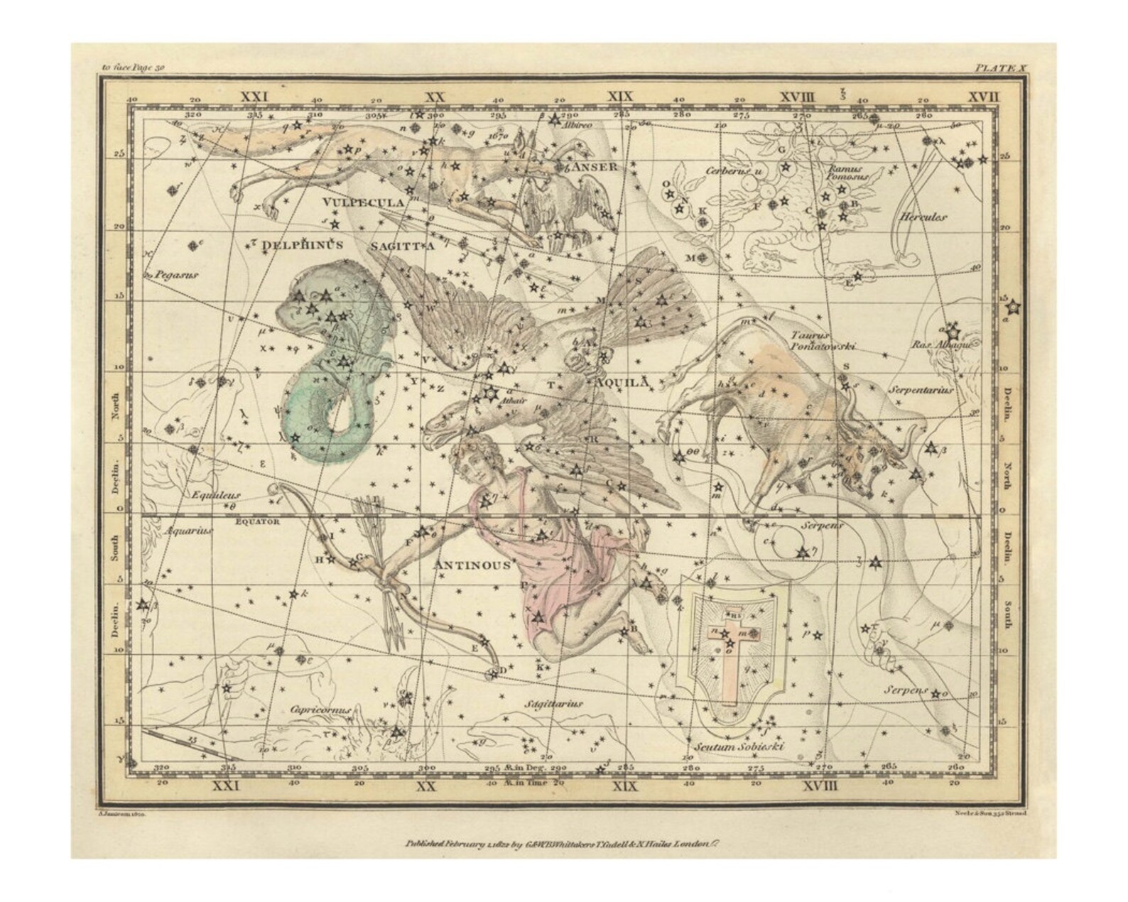 Vintage Delphinus Sagitta Aquila Antinous Constellation Celestial Map ...