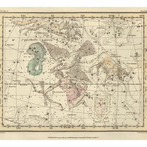 Vintage Delphinus Sagitta Aquila Antinous Constellation Celestial Map ...