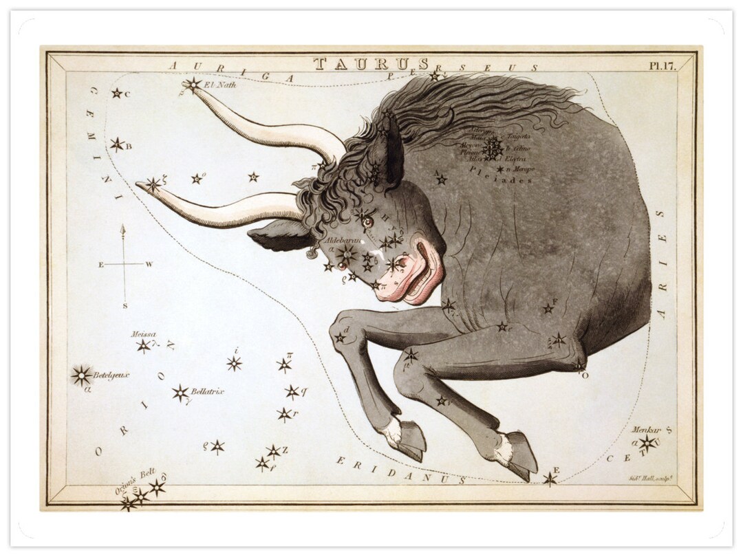 Taurus Vintage Zodiac Astrological Art Print - Etsy