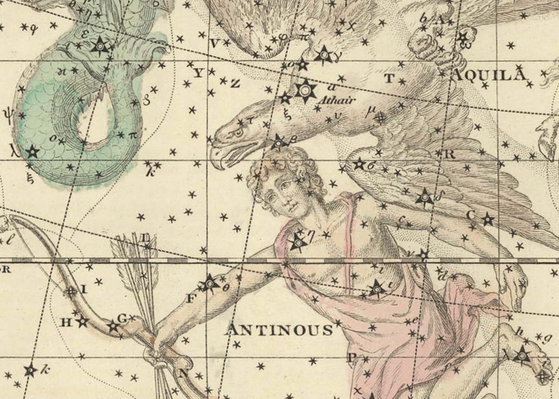 Vintage Delphinus Sagitta Aquila Antinous Constellation Celestial Map ...