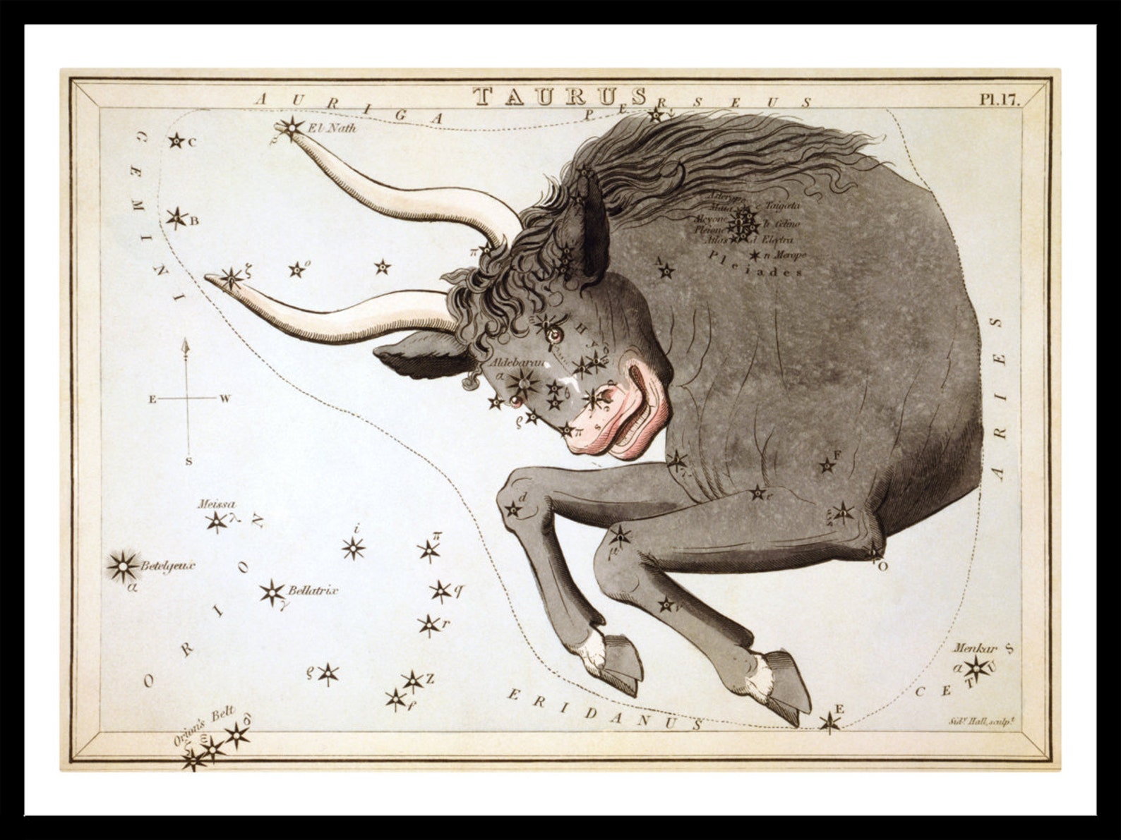 Taurus Vintage Zodiac Astrological Art Print - Etsy