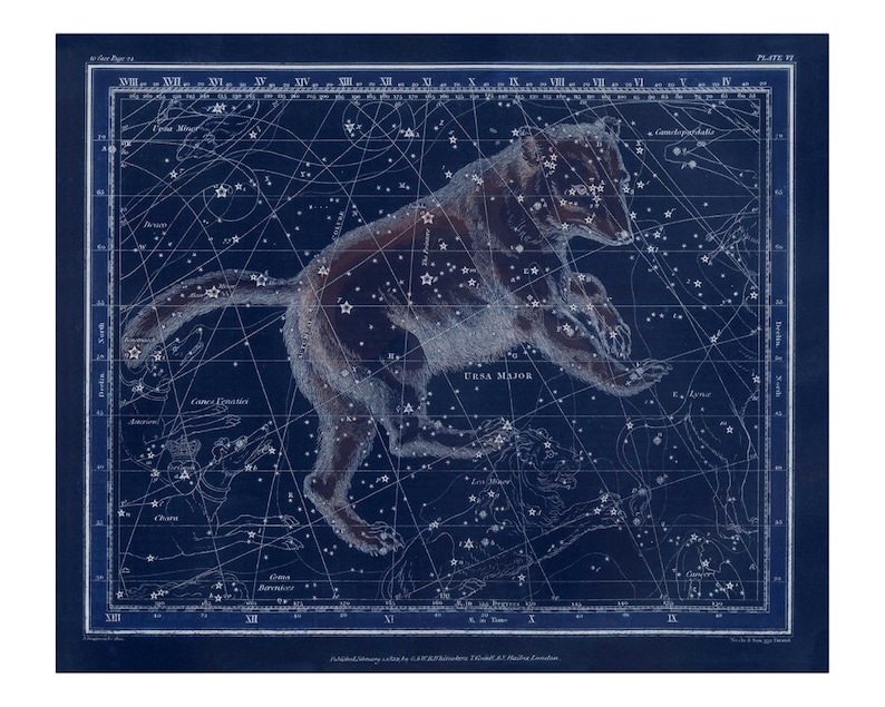 Vintage Ursa Major Constellation Celestial Map Astronomy - Etsy