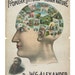 Phrenology Poster Vintage Art Print Antique Advertising - Etsy