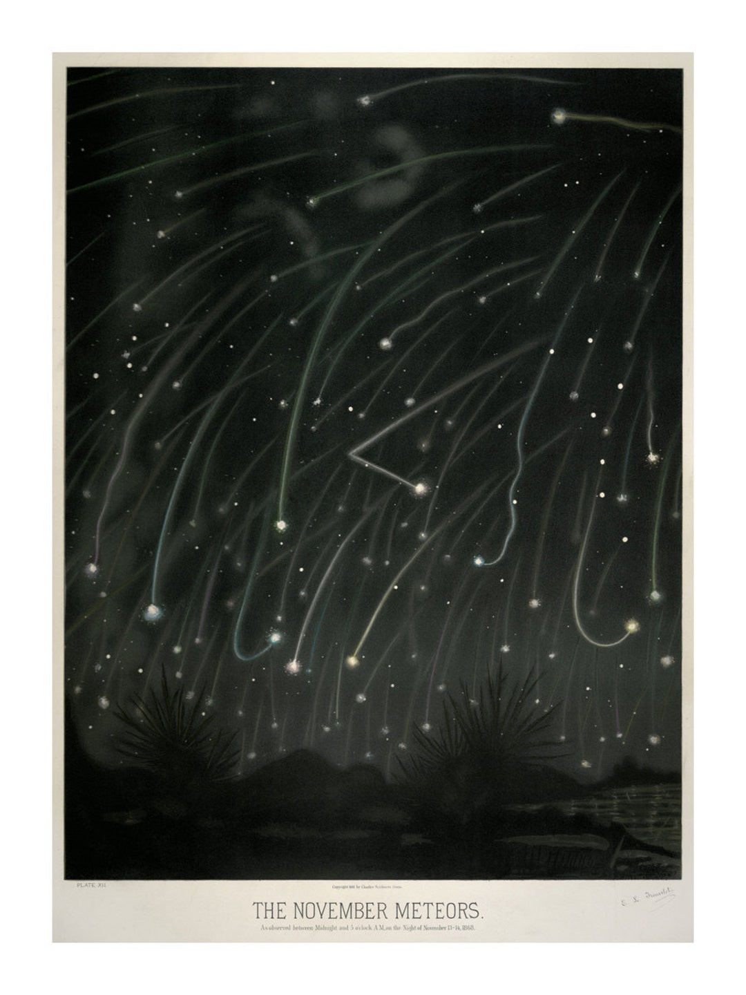 November Meteor Showers - Astronomy Art Print - Antique Astronomical ...