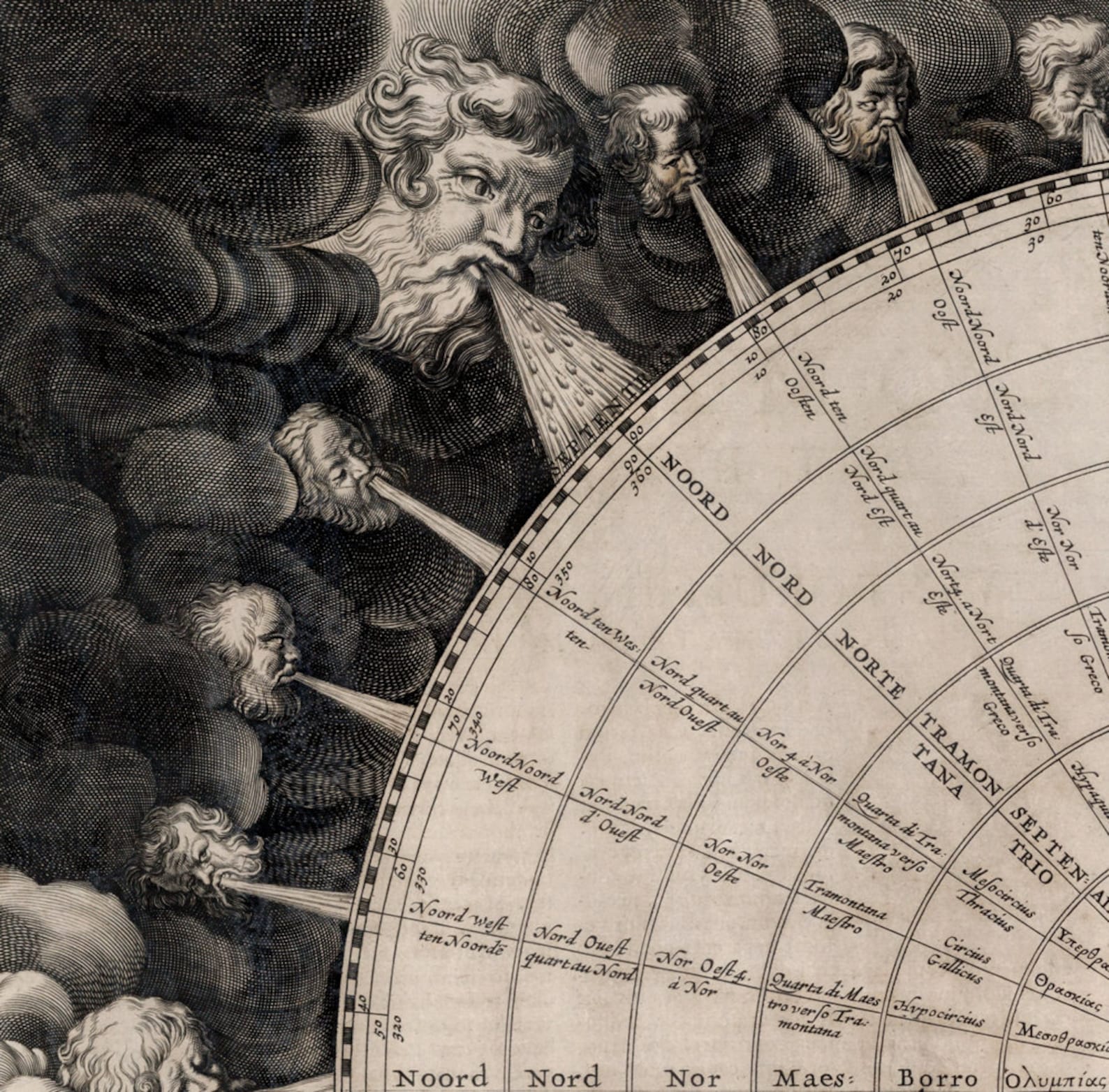 Map of the Winds Compass Rose Chart Vintage Nautical Art - Etsy