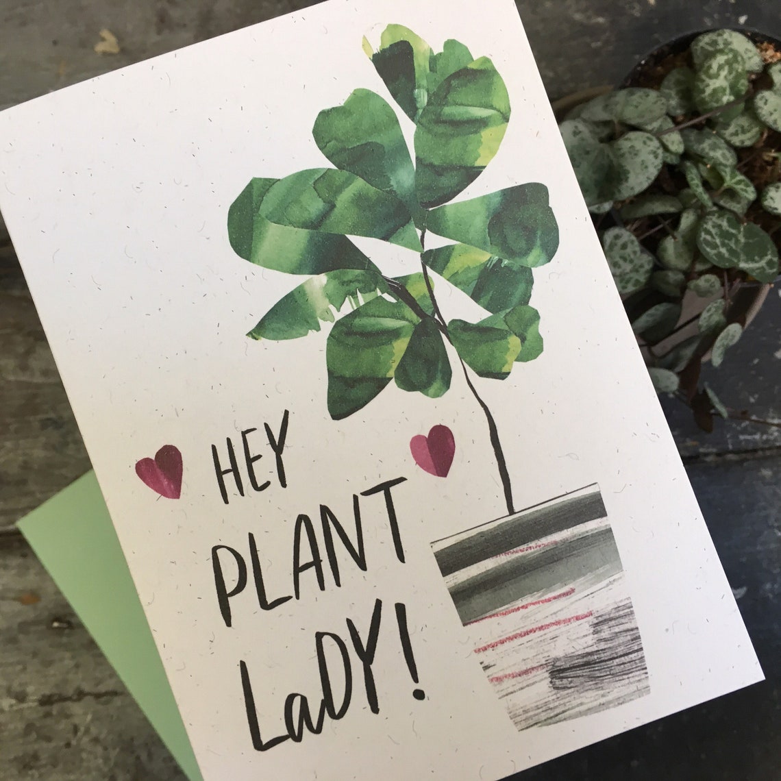 Plant lady Birthday card | Etsy