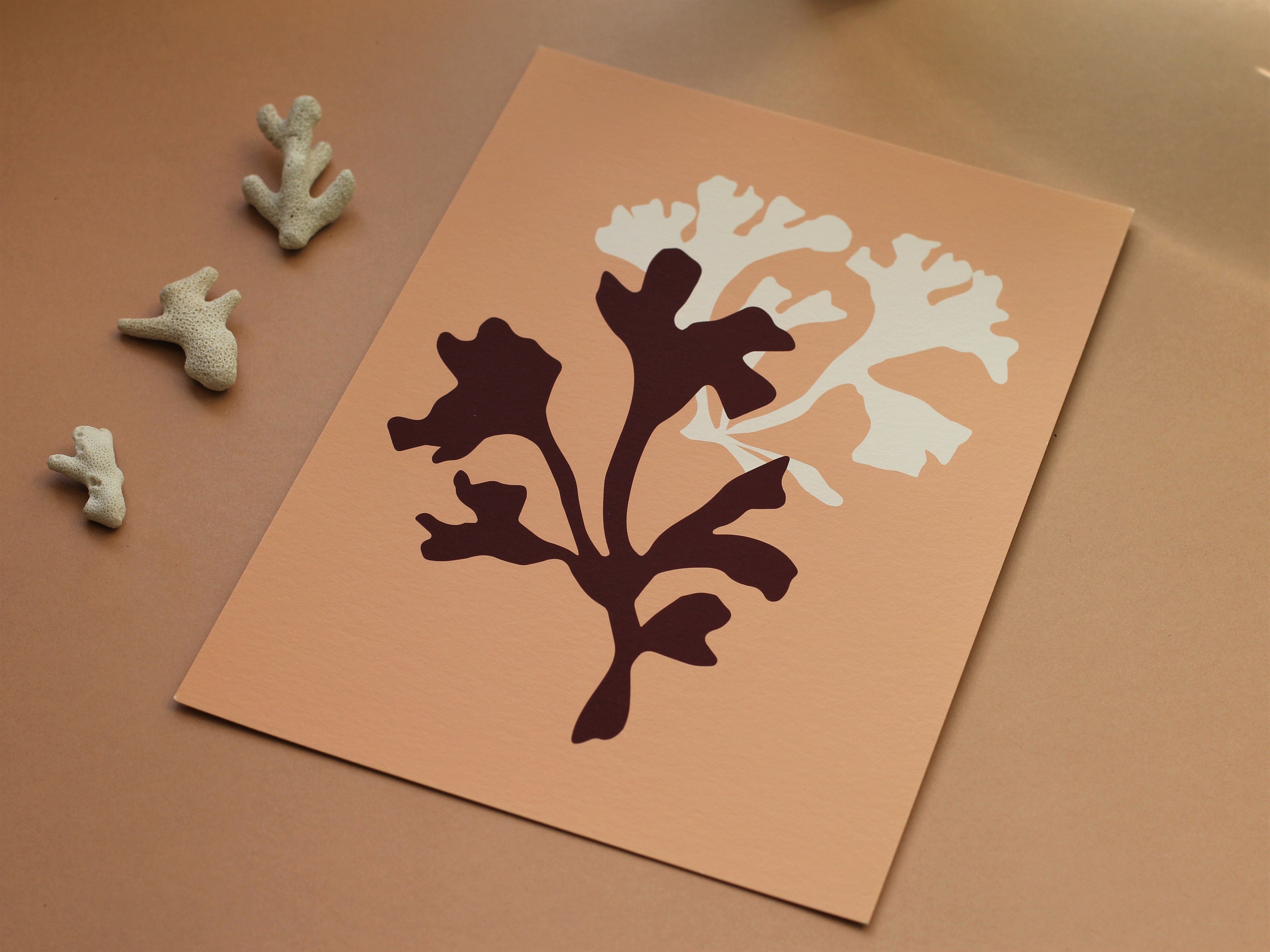 Coral and Kelp Minimal Abstract Cut Out Art Print - Etsy