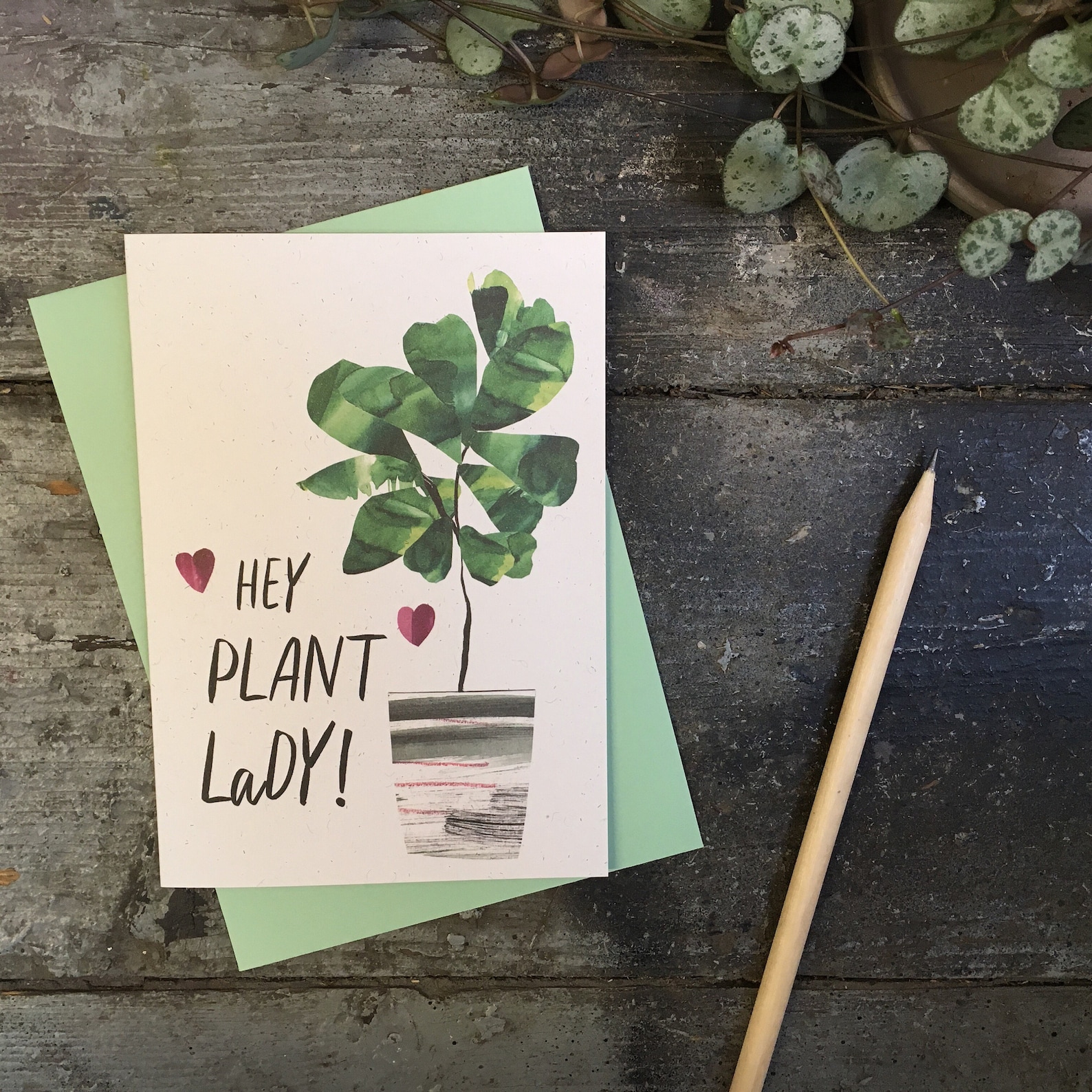 Plant Lady Birthday Card - Etsy