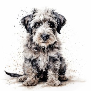 Havapoo Clipart - 10 High Quality Watercolor Jpg's - Digital Download ...