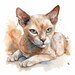 Devon Rex Clipart - 10 High Quality Watercolor Jpg's - Digital Download ...