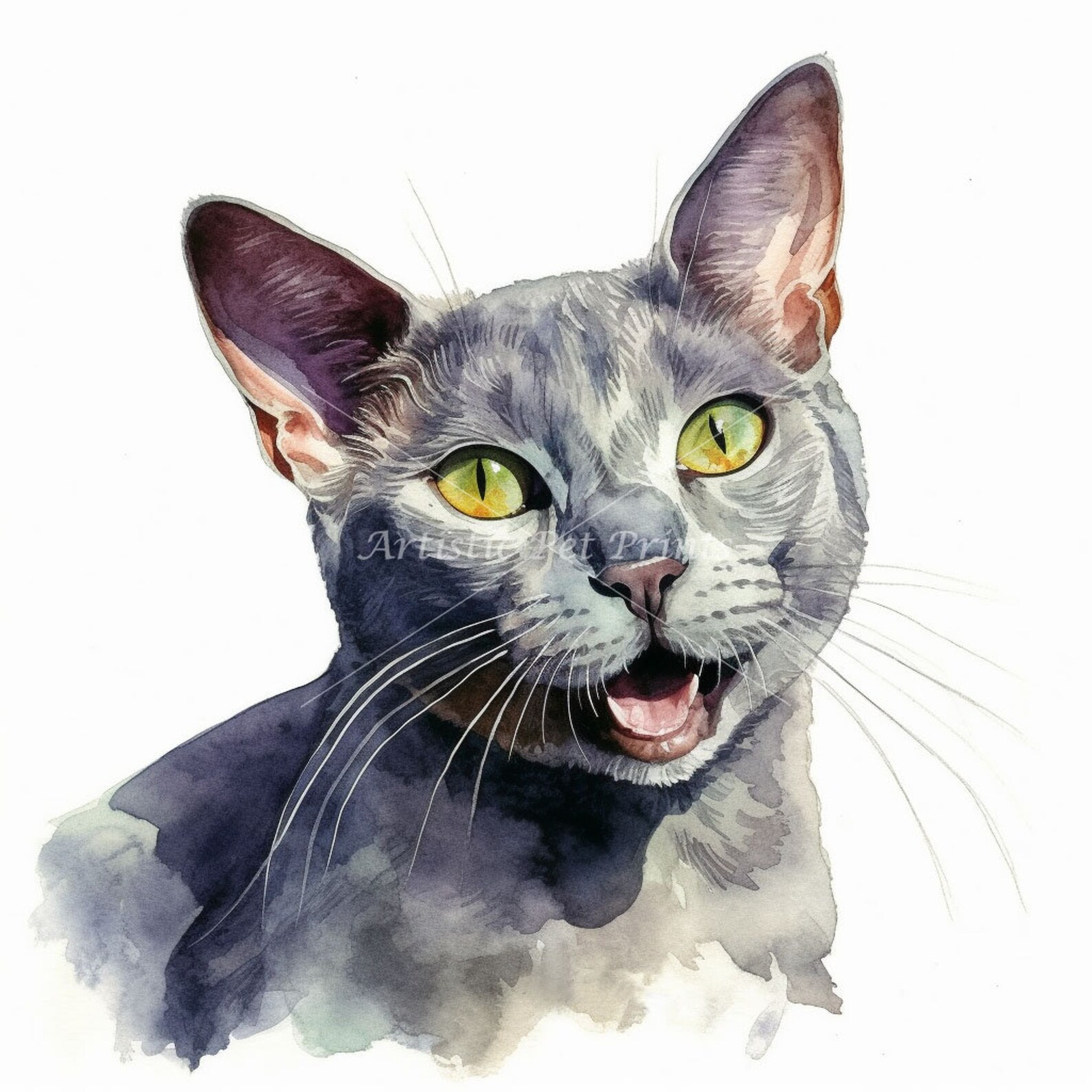Korat Cat Clipart - 10 High Quality Watercolor Jpg's - Digital Download ...