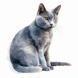 Chartreux Clipart - 10 High Quality Watercolor Jpg's - Digital Download ...