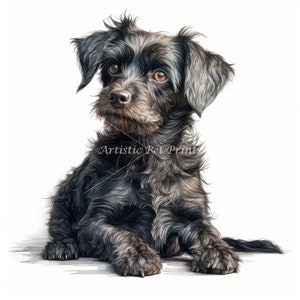 Black Jackapoo Clipart - 10 High Quality Watercolor Jpg's - Digital ...