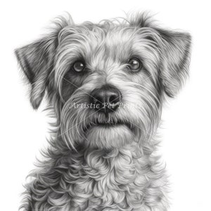 Jackapoo Sketch Drawings - 10 High Quality Jpg's - Digital Download ...