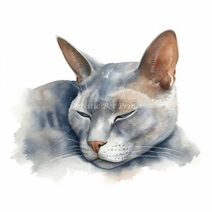 Korat Cat Clipart - 10 High Quality Watercolor Jpg's - Digital Download ...