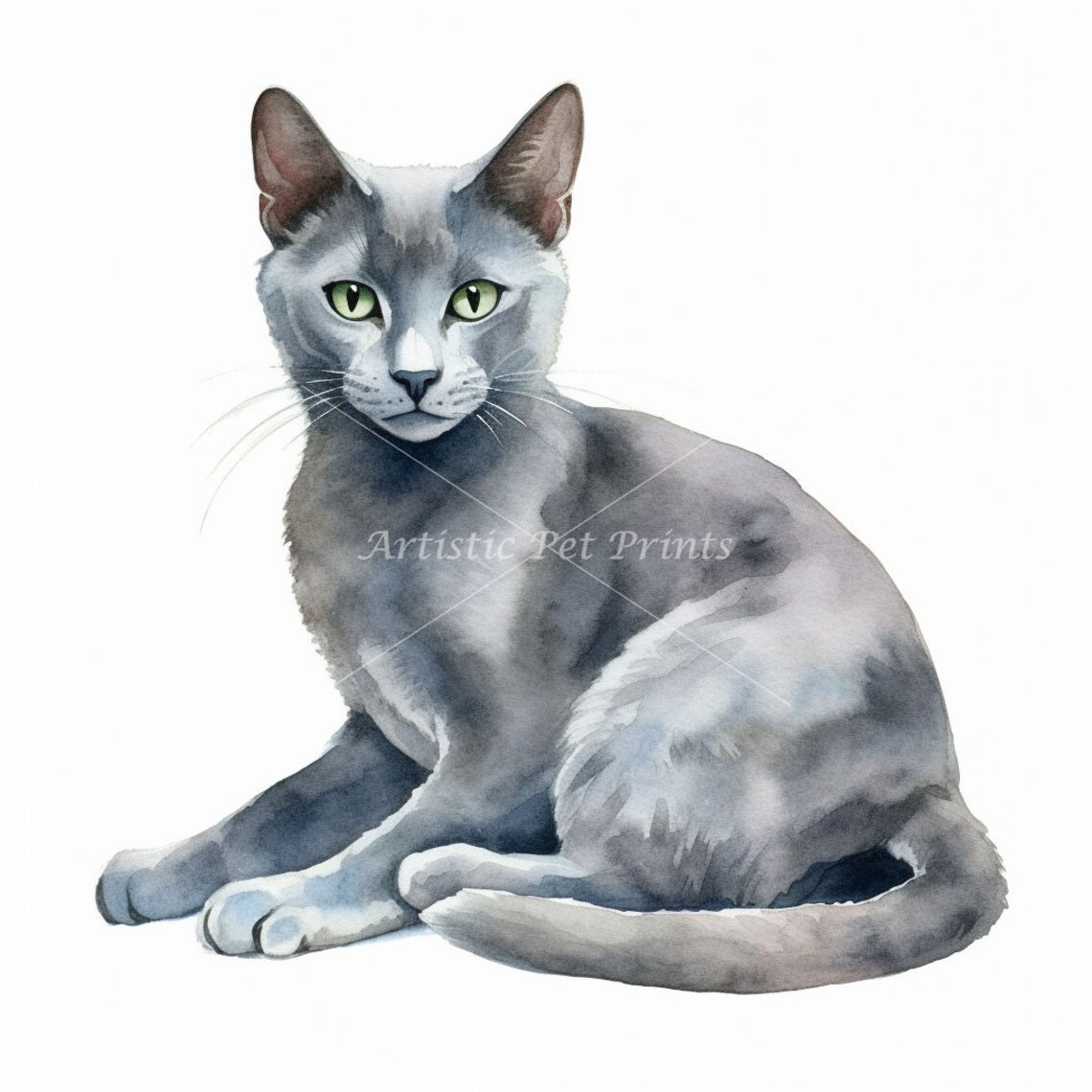 Korat Cat Clipart - 10 High Quality Watercolor Jpg's - Digital Download ...