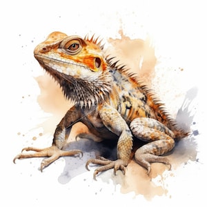 Bearded Dragon Clipart - 10 High Quality Watercolor Jpg's - Digital ...