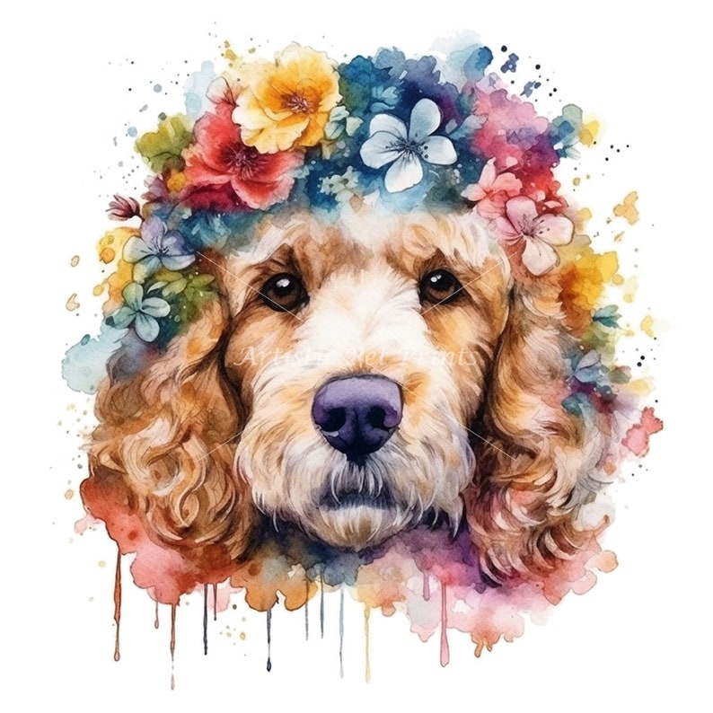 Cockapoo Clipart Watercolor 10 High Quality Jpg's - Etsy