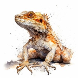 Bearded Dragon Clipart - 10 High Quality Watercolor Jpg's - Digital ...