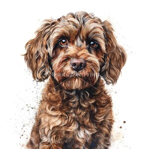 Golden Cockapoo Clipart - 10 High Quality Watercolor Jpg's - Digital ...