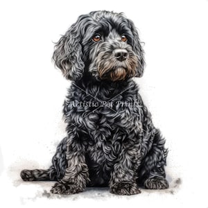 Black Cockapoo Clipart - 10 High Quality Watercolor Jpg's - Digital ...