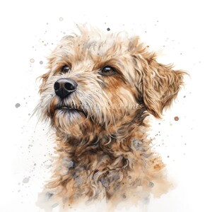 Havapoo Clipart - 10 High Quality Watercolor Jpg's - Digital Download ...