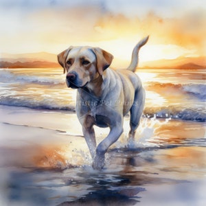 Labrador on Beach Clipart - 10 High Quality Watercolor Jpg's - Digital ...