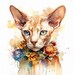 Devon Rex Clipart - 10 High Quality Watercolor Jpg's - Digital Download ...